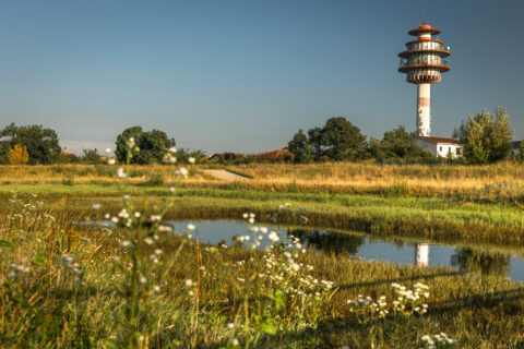 Découvrir Chassieu - chassieu.fr