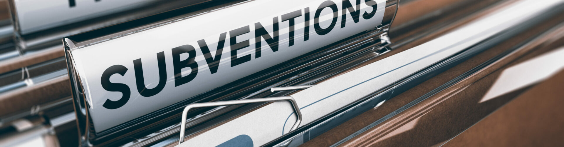 Demande de subvention au CCAS - chassieu.fr