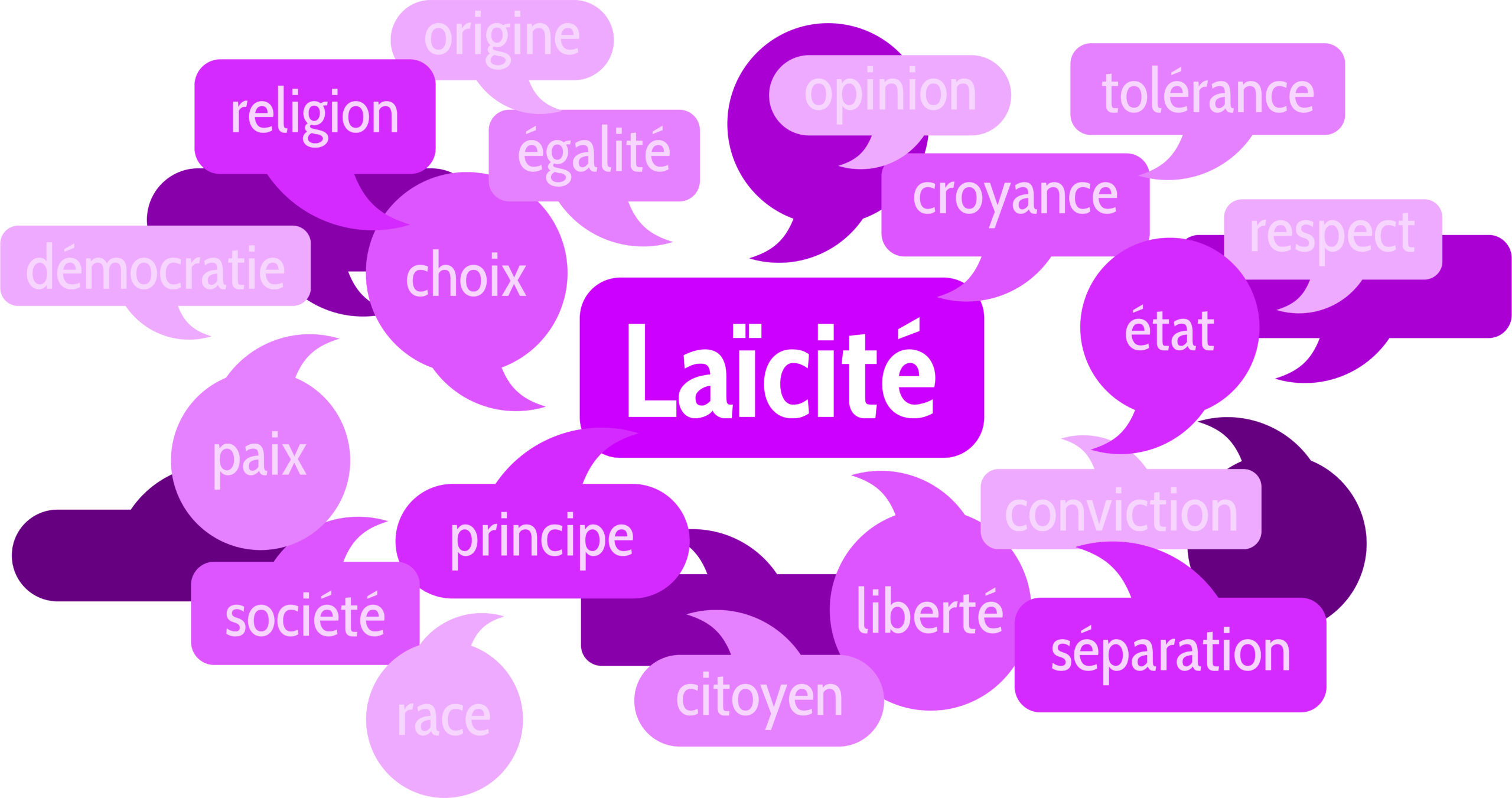 Newsletter #3 - La laïcité, un principe incontournable - chassieu.fr